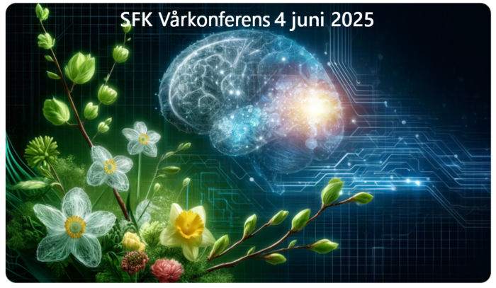 SFK Vårkonferens 2025: Faktabaserade beslut med AI på riktigt - praktikfall visar vägen under ...